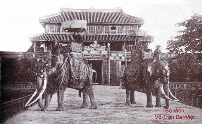 VÕ-TRẬN ĐẠI-VIỆT - EQUESTRIAN ART - The War Horses